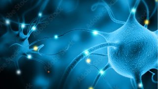 Information Theory & Complex Systems Team - ARAYA Research